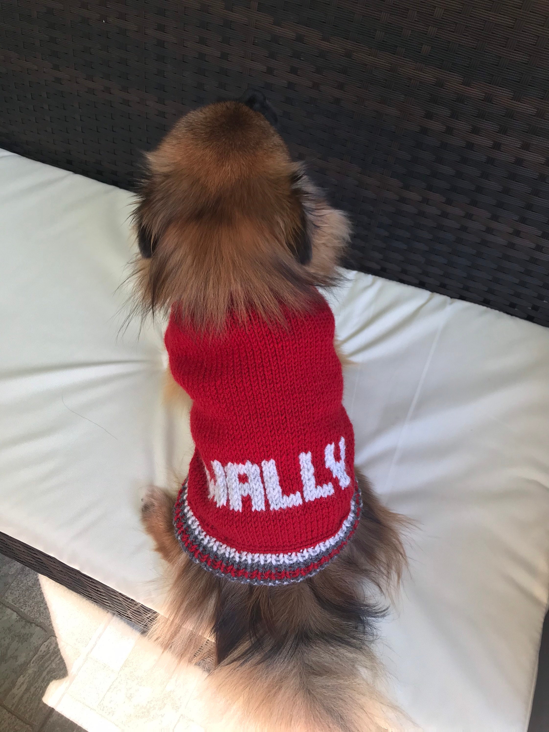 Personalized Dog Sweater Custom Dog Clothes Knitted Dog - Etsy