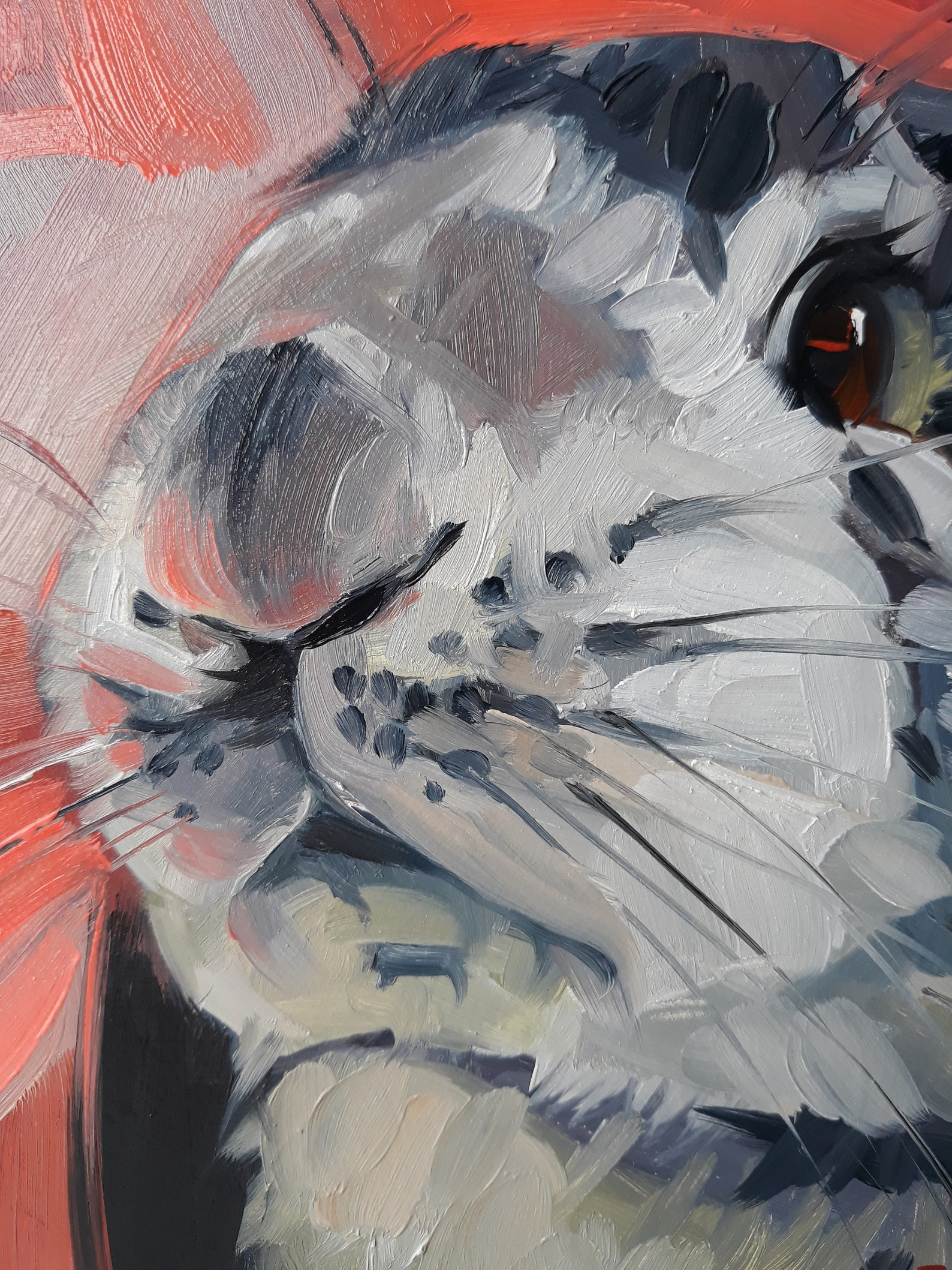 Gray Rabbit Bunny Picture Frame Rabbit Oil Painted Portrait - Etsy