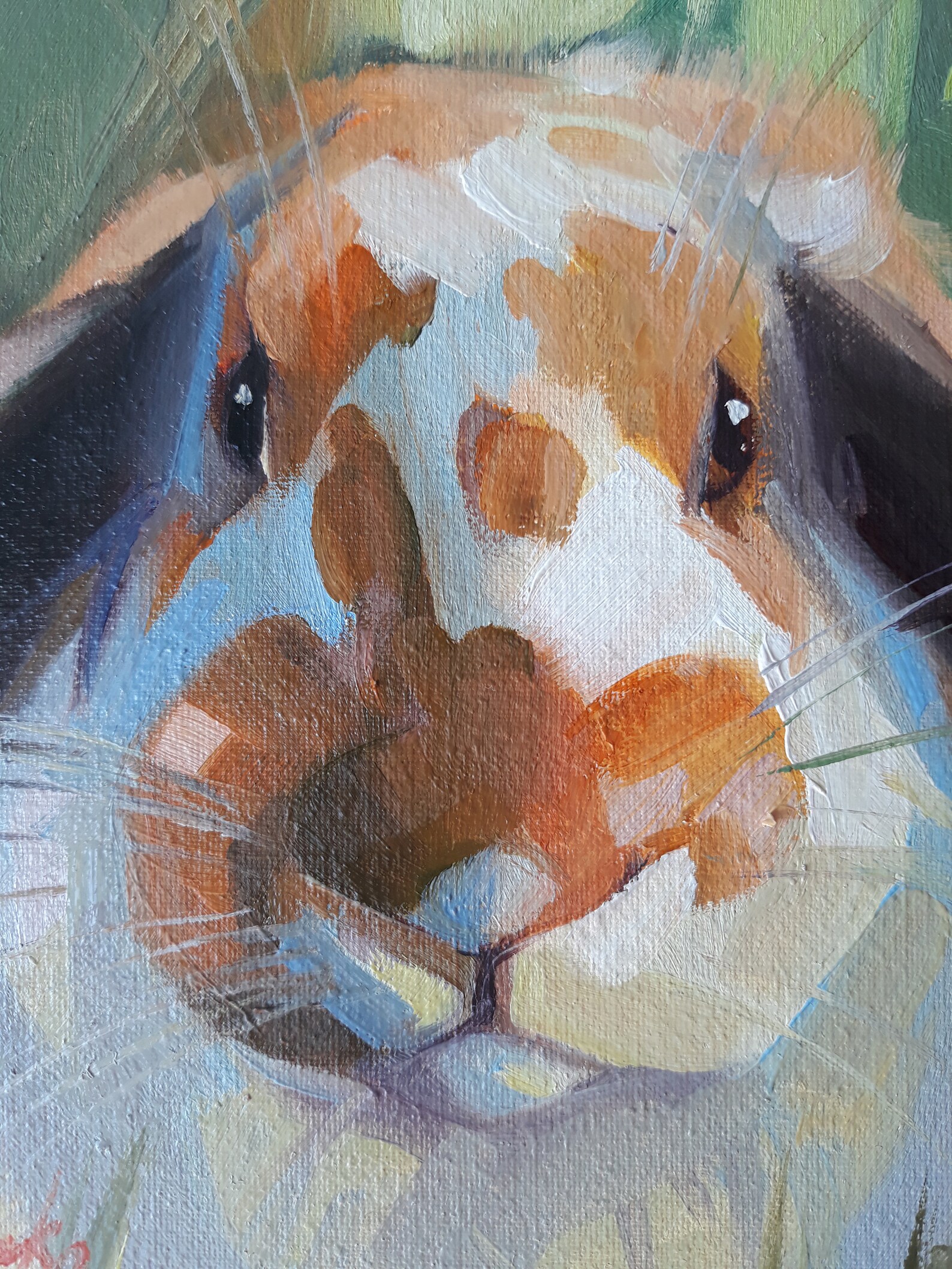 Orange Bunny Rabbit Oil Painting in Frame Miniatures 4x6 - Etsy