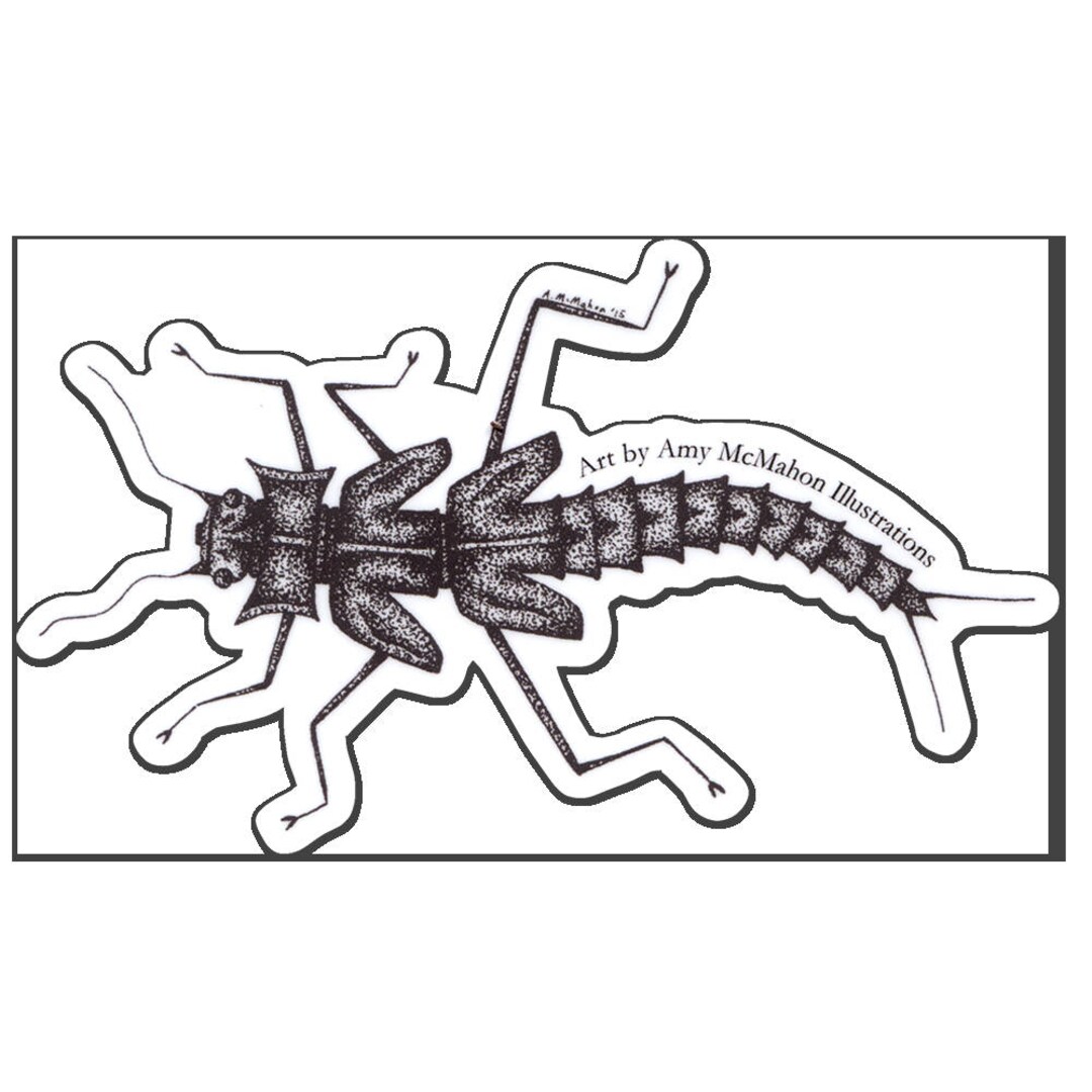 Stonefly Sticker - Etsy