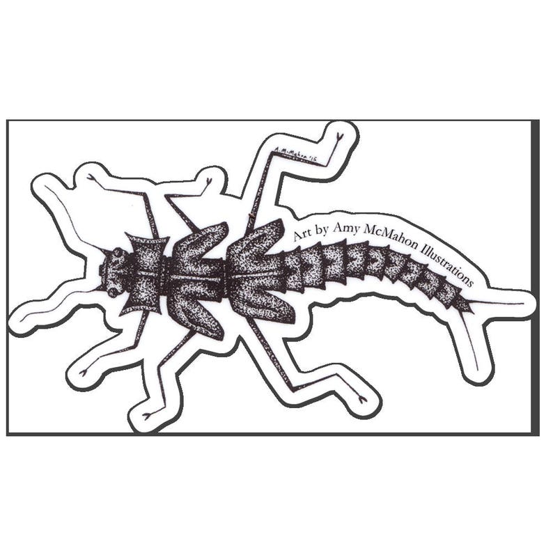 Stonefly Sticker - Etsy