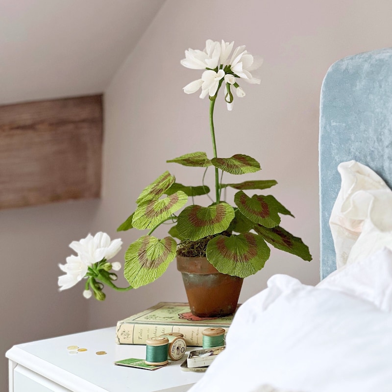 Planting Anna Plant - Etsy UK