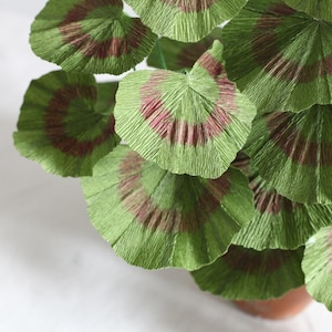 Standard Pink Paper Geranium / First Anniversary / Crepe Paper Flowers ...
