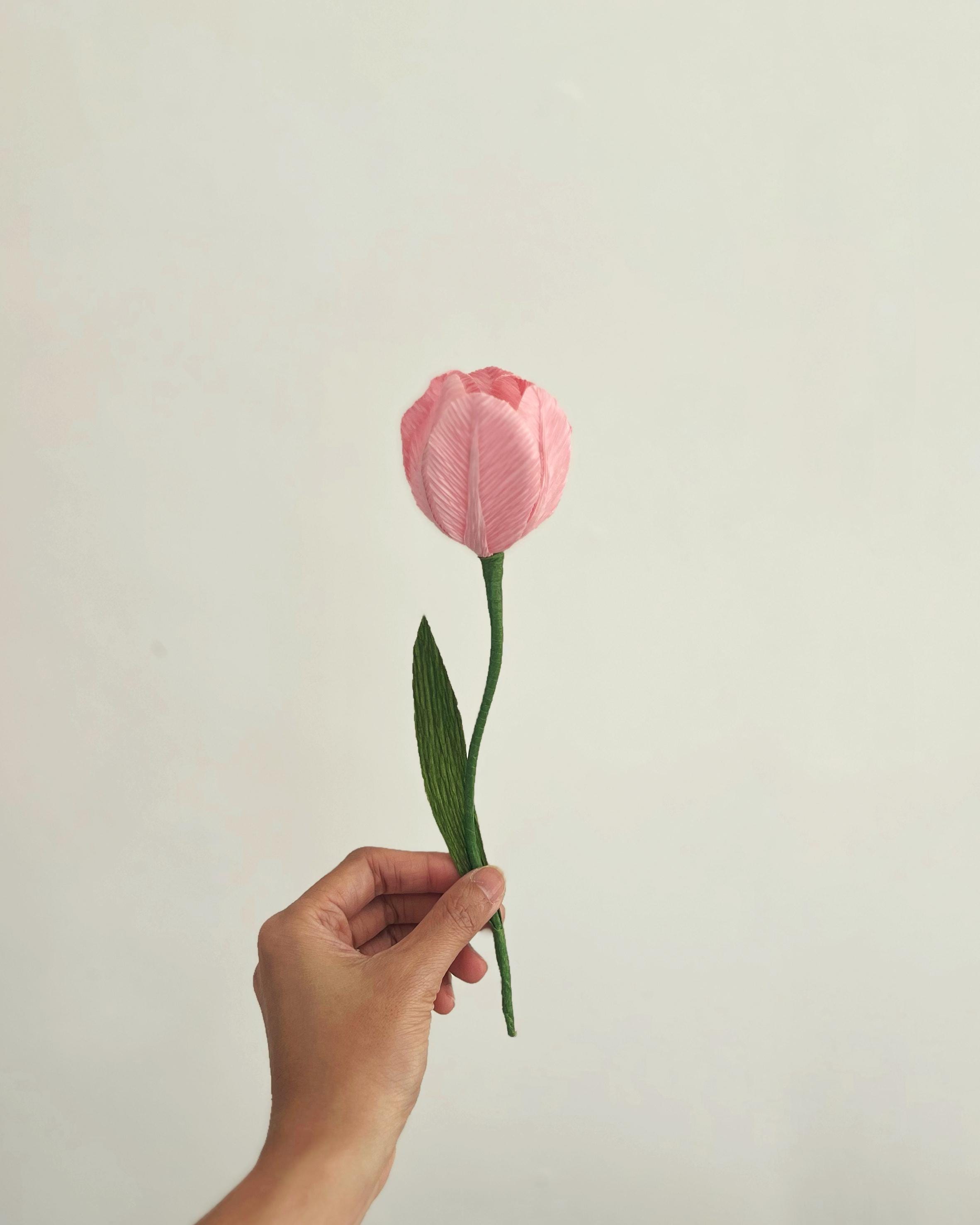 DIY Paper Tulip Craft Kit: Romantic Pink Paper Flower - Etsy