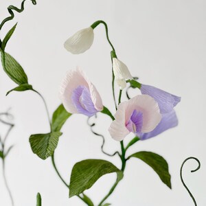 Crepe Paper Sweet Pea Plant Sculpture: Terracotta Pot, Garden Decor - Etsy