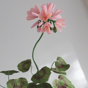 Standard Pink Paper Geranium / First Anniversary / Crepe Paper Flowers ...