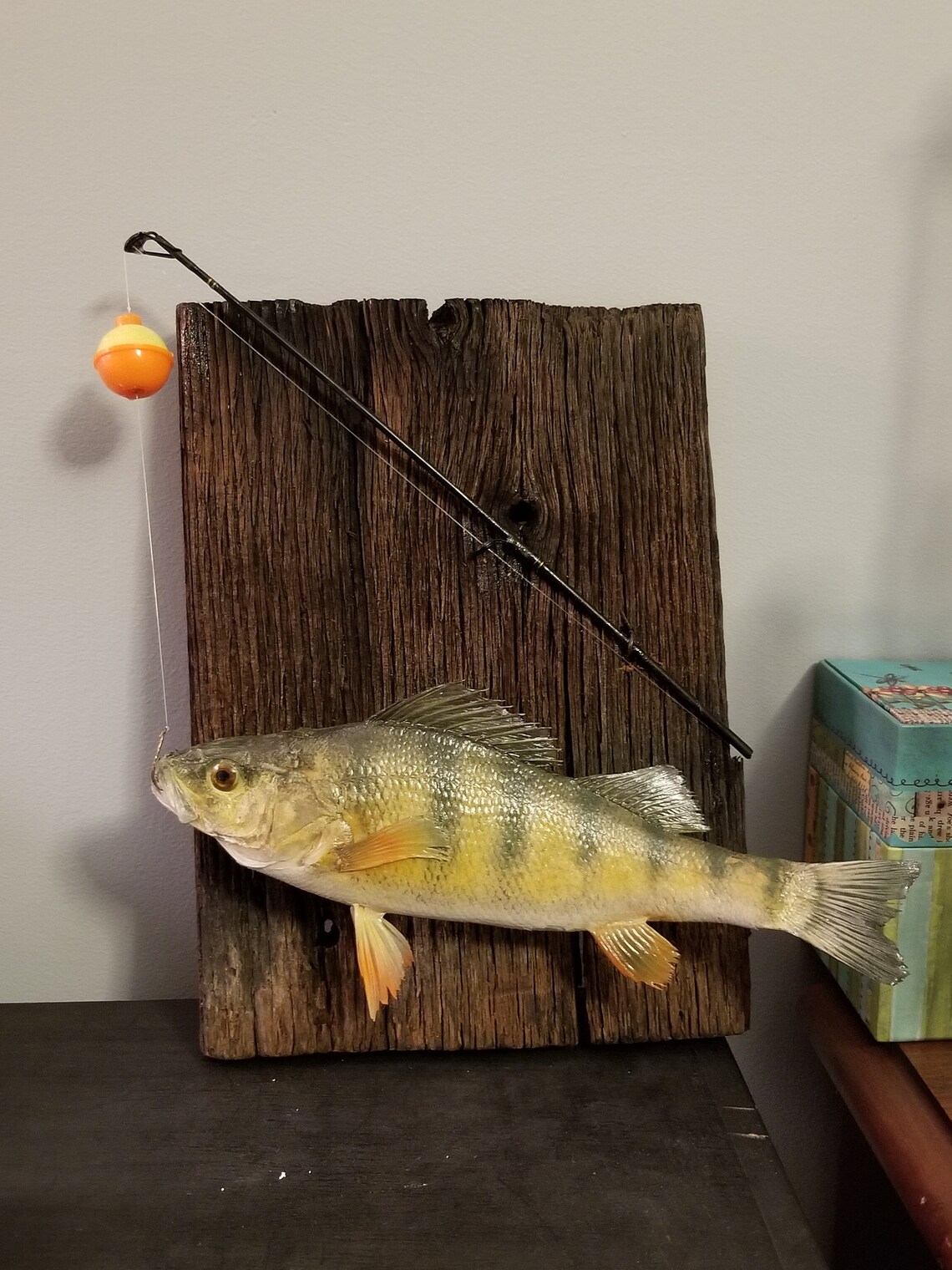 Taxidermy Perch Mount | Etsy