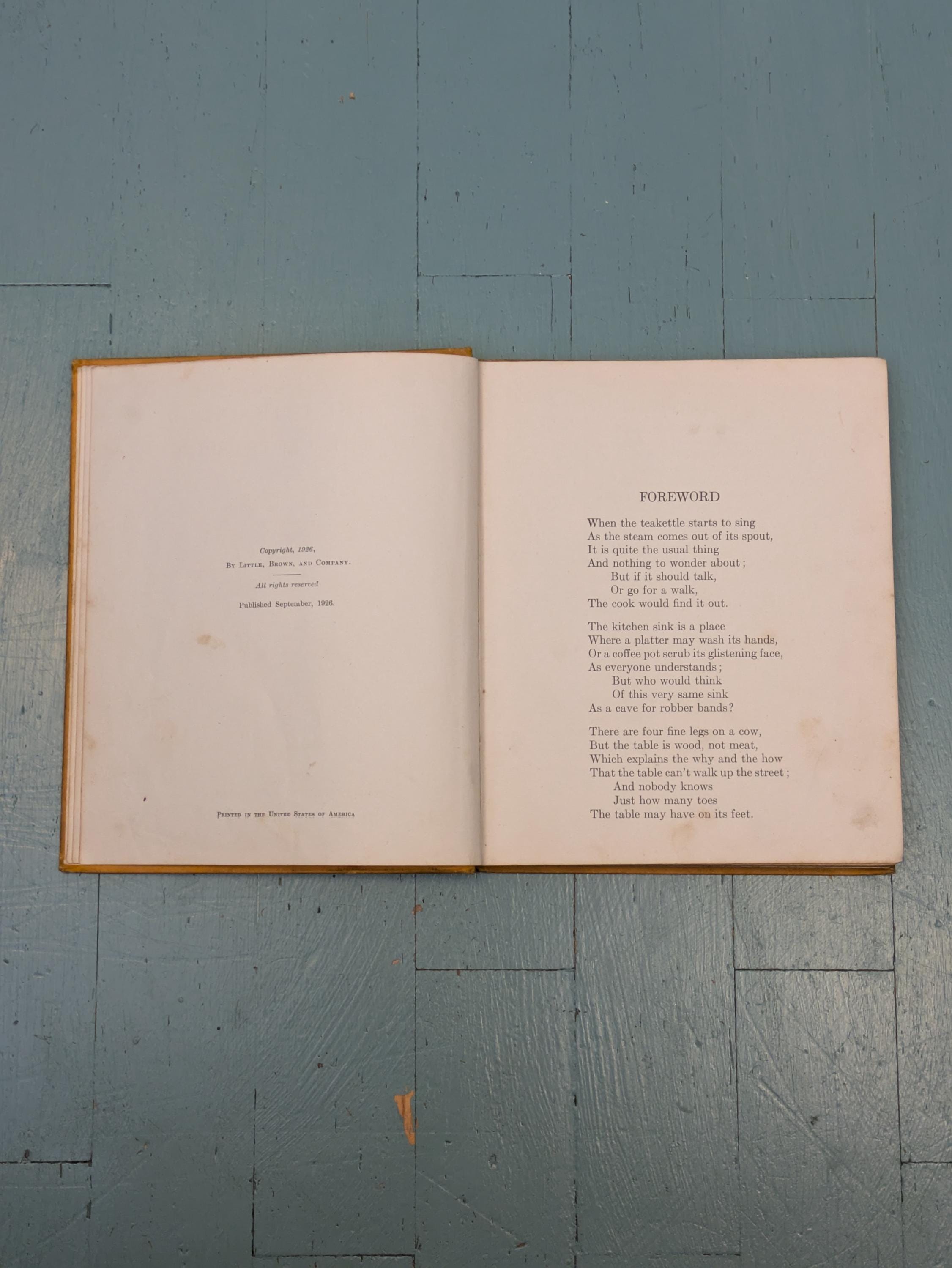 1926 the Captain of the Clothespins by James Woodward Sherman Illustrated by Eugene Wireman - Etsy