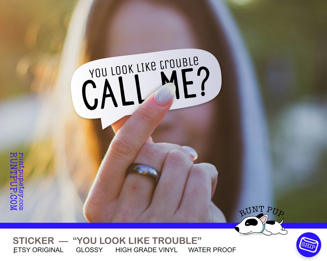 CALL ME You Look Like Trouble A Funny, Sarcastic Sticker for Laptops ...