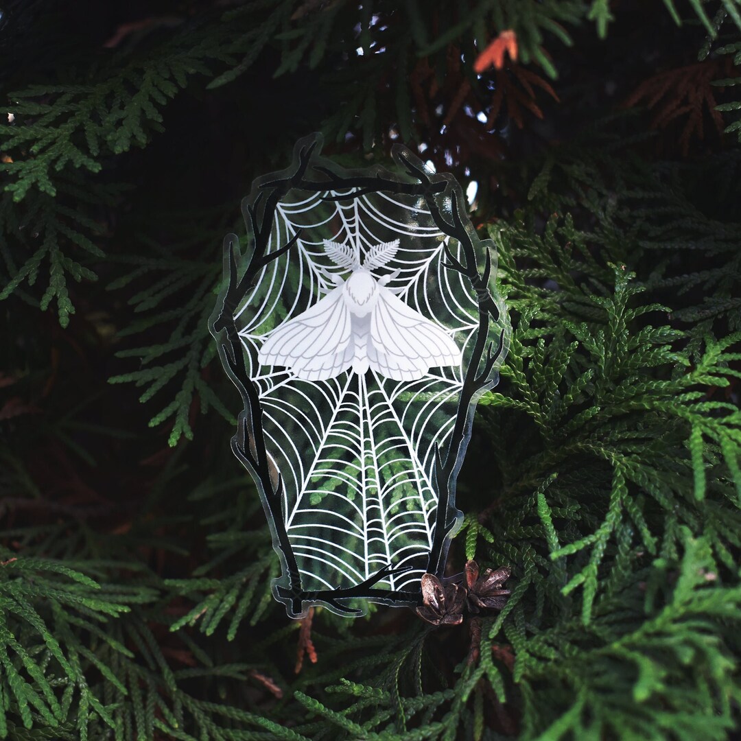 COFFIN Witchy Transparent Moth Coffin Spider Web Vinyl Sticker - Etsy