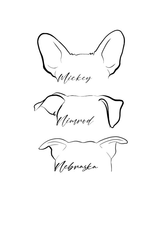 Dog Man Ears Template Ubicaciondepersonas cdmx gob mx