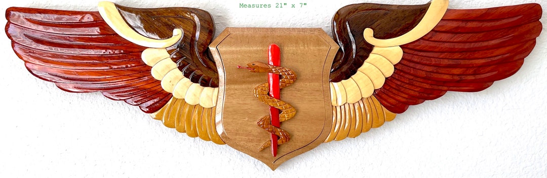 Air Force FLIGHT SURGEON WINGS Wood Art Plaque - Etsy
