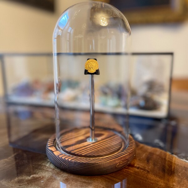 Glass Dome Display - Etsy