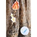 Red Pikmin Sticker Decal - Etsy