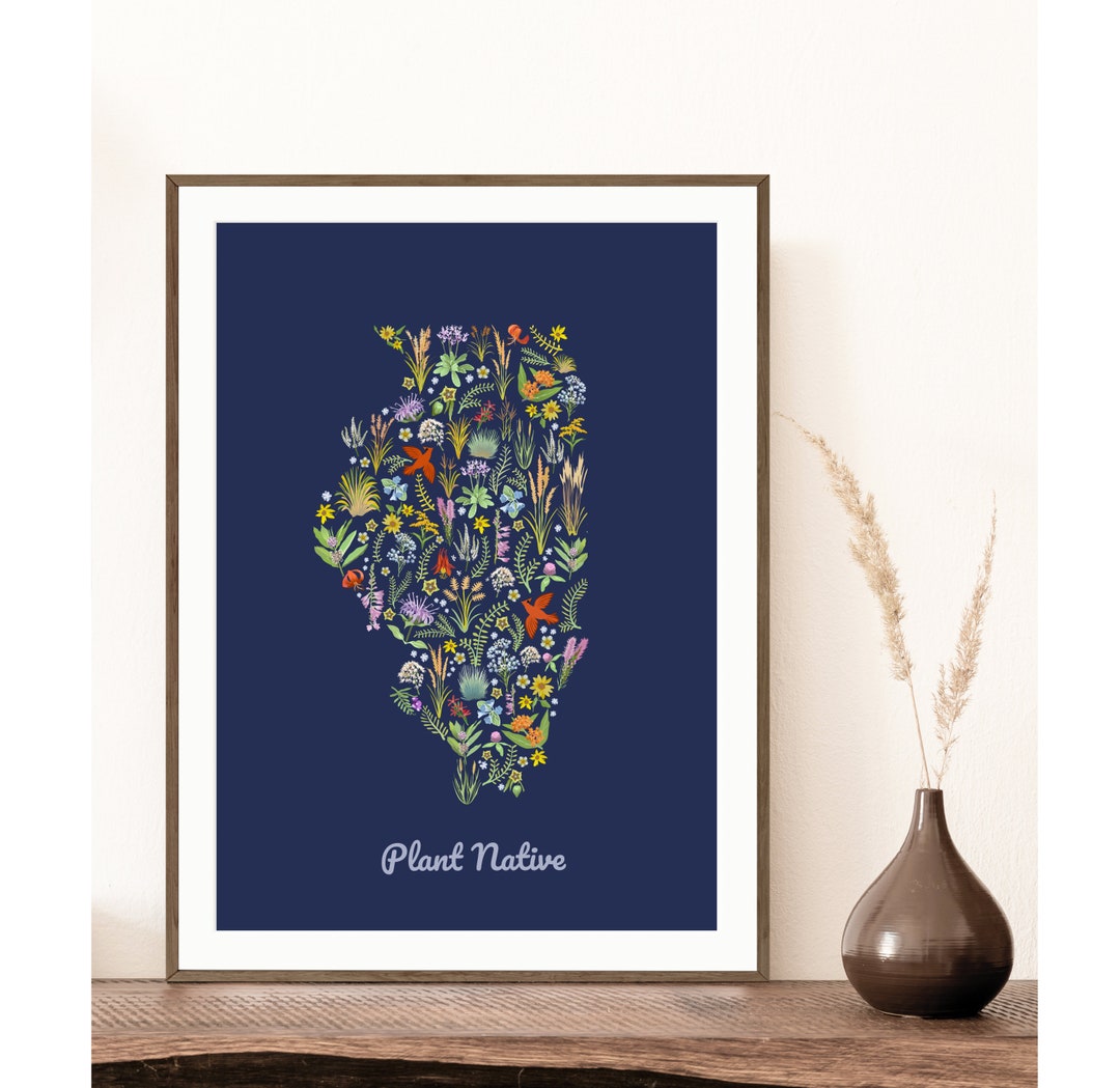 Illinois Plant Native Poster Print | Illinois Art With Native Flowers ...