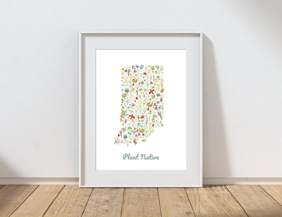 State of Indiana Native Plant Print | Indiana Flower Art Poster With ...