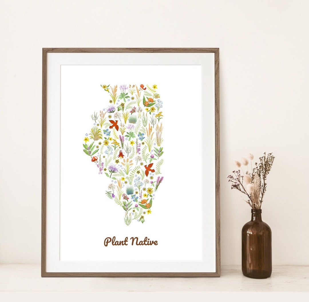 Illinois Native Plants Poster Print | Illinois Silhouette | Native ...