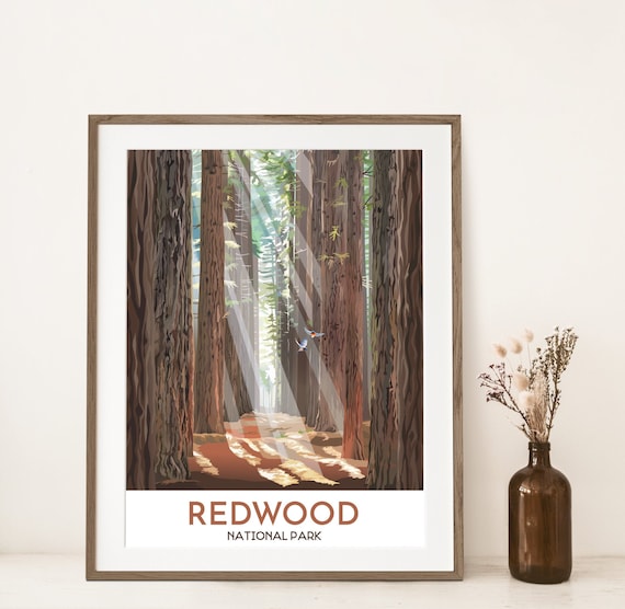 Redwood National Park Print Redwoods Travel Poster Redwood | Etsy