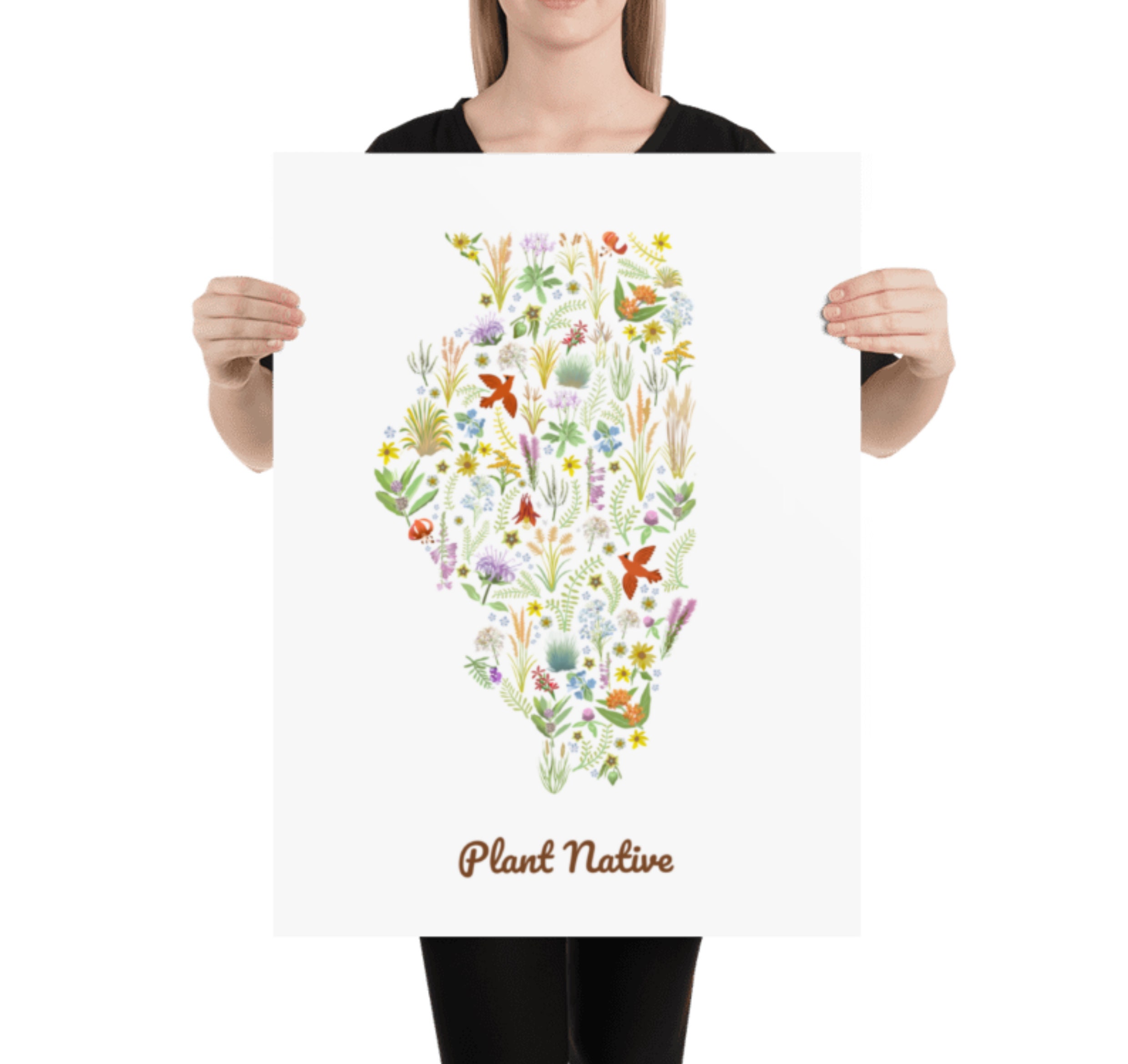 Illinois Native Plants Poster Print | Illinois Silhouette | Native ...