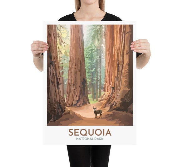 Sequoia National Park Poster Sequoia & Kings Canyon Giant | Etsy