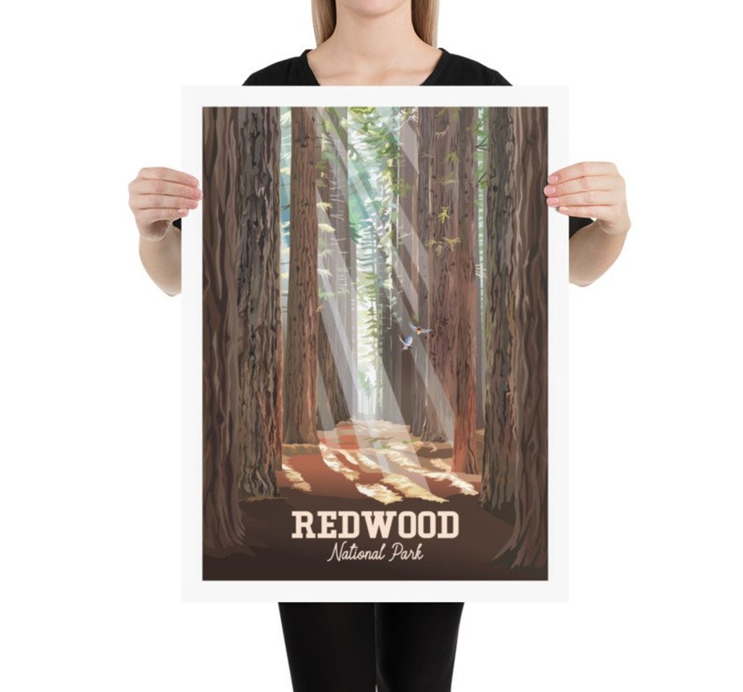 Redwood National Park Poster | Redwoods Poster| Vintage Travel Poster ...