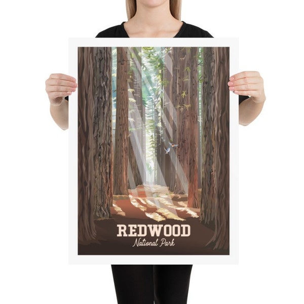 Redwoods Sunlight Through Trees Print - Etsy