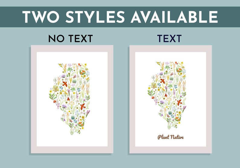 Illinois Native Plants Poster Print | Illinois Silhouette | Native ...