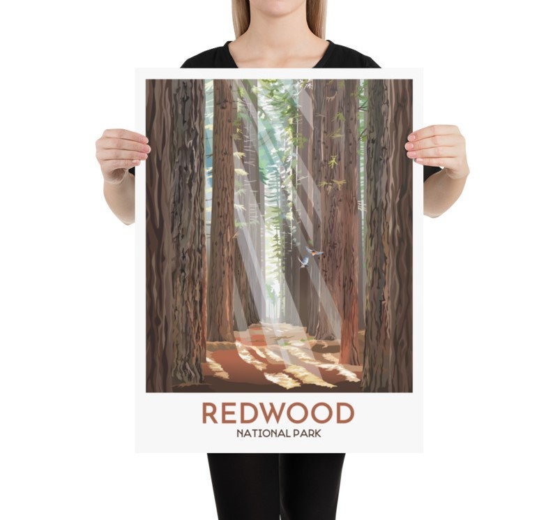 Redwood National Park Print | Redwoods Travel Poster | Redwood National ...