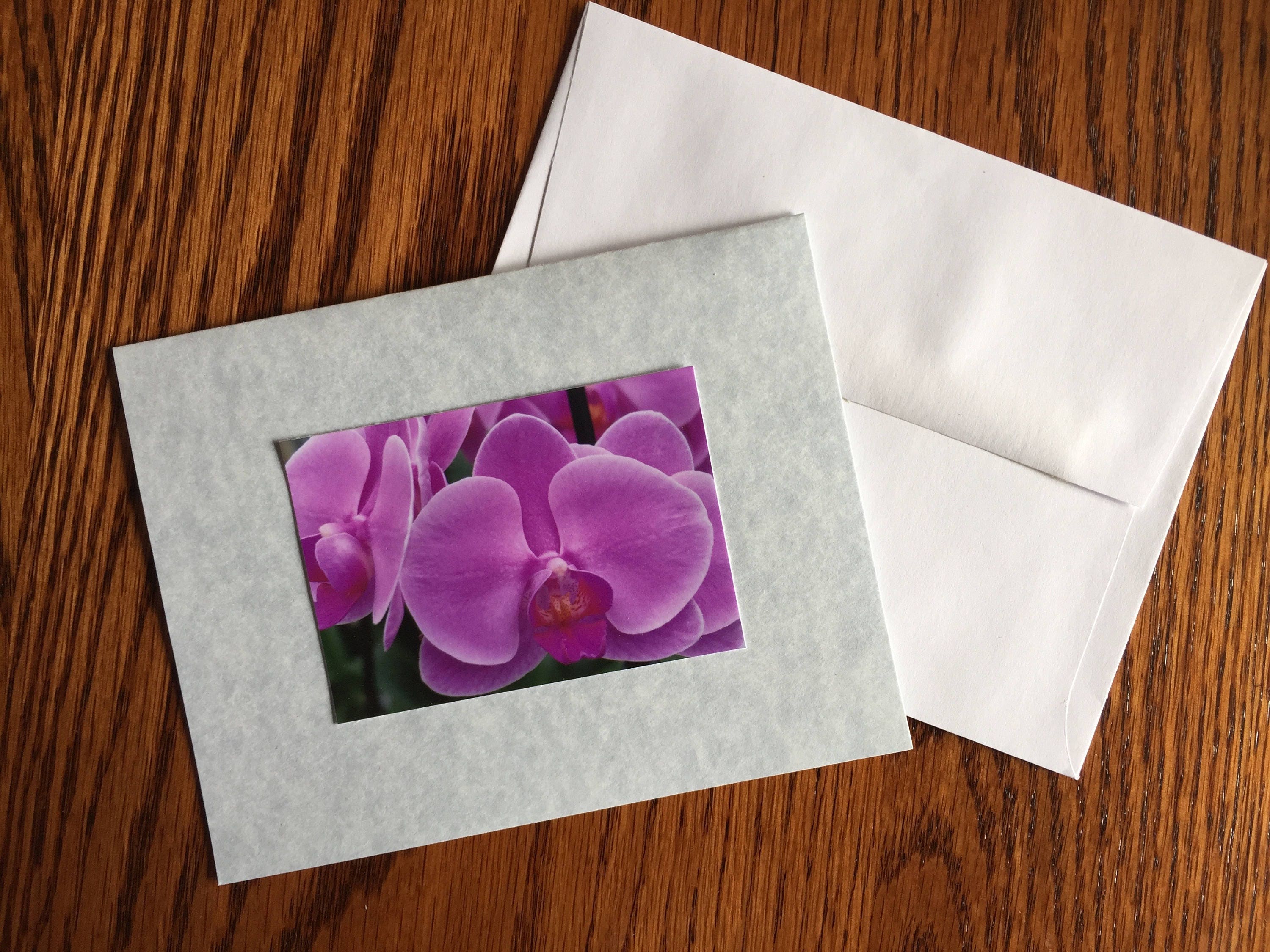 Orchid Photo Cards - Etsy