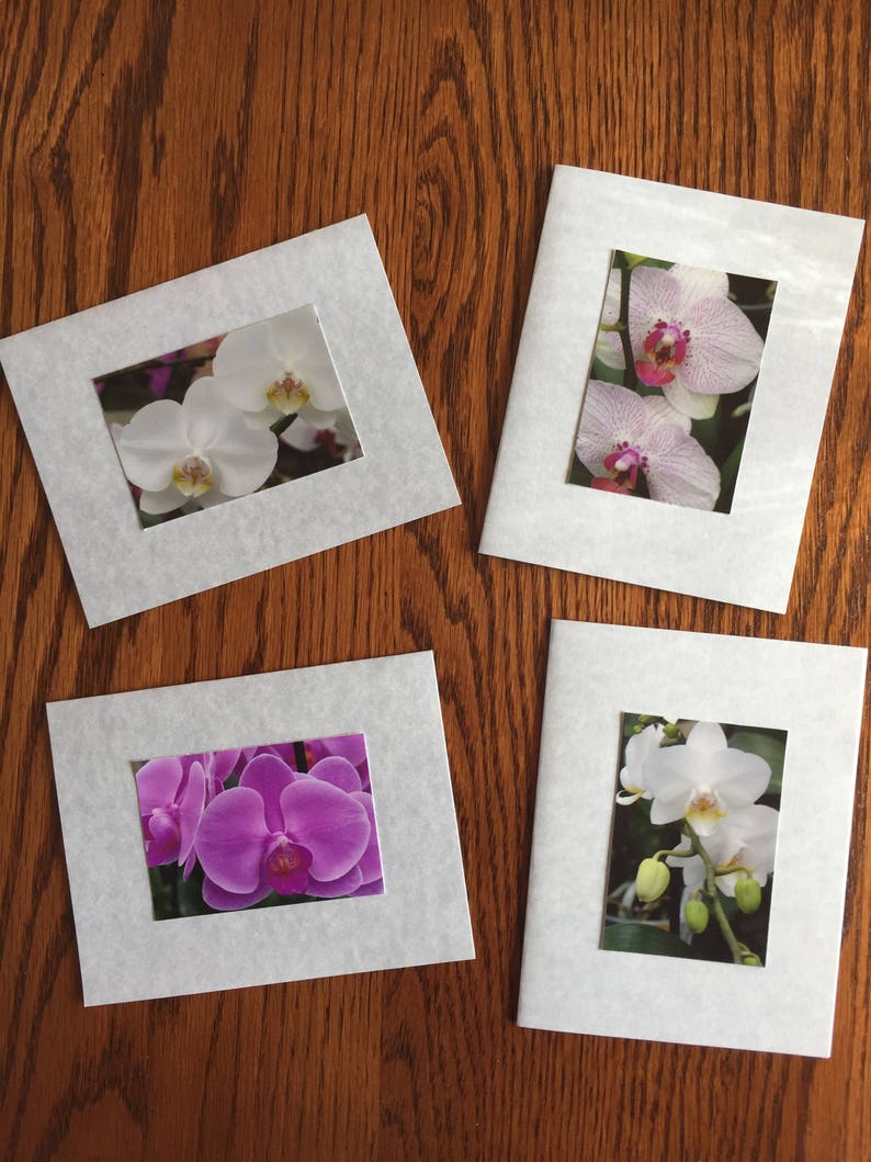 Orchid Photo Cards - Etsy