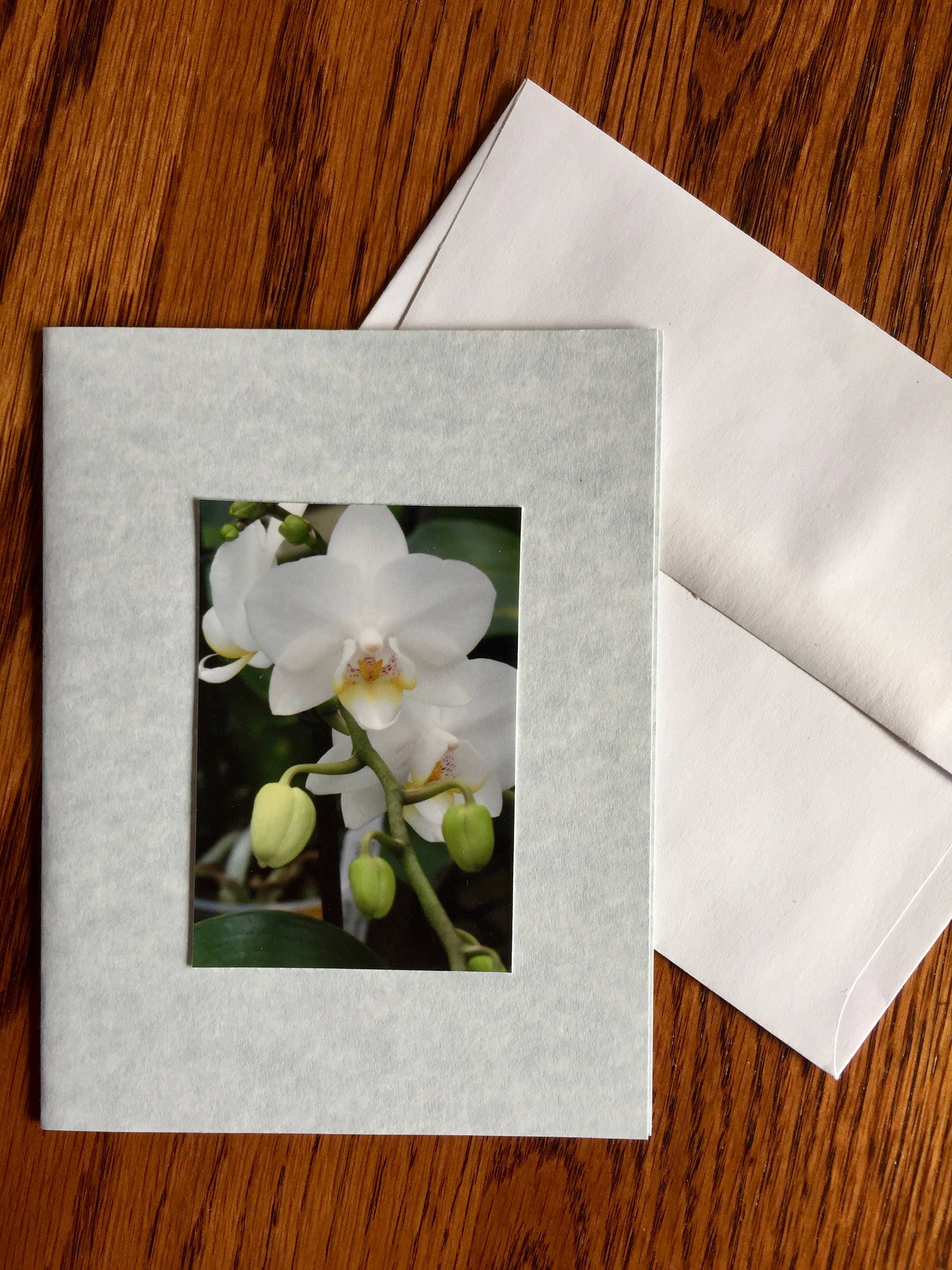 Orchid Photo Cards - Etsy