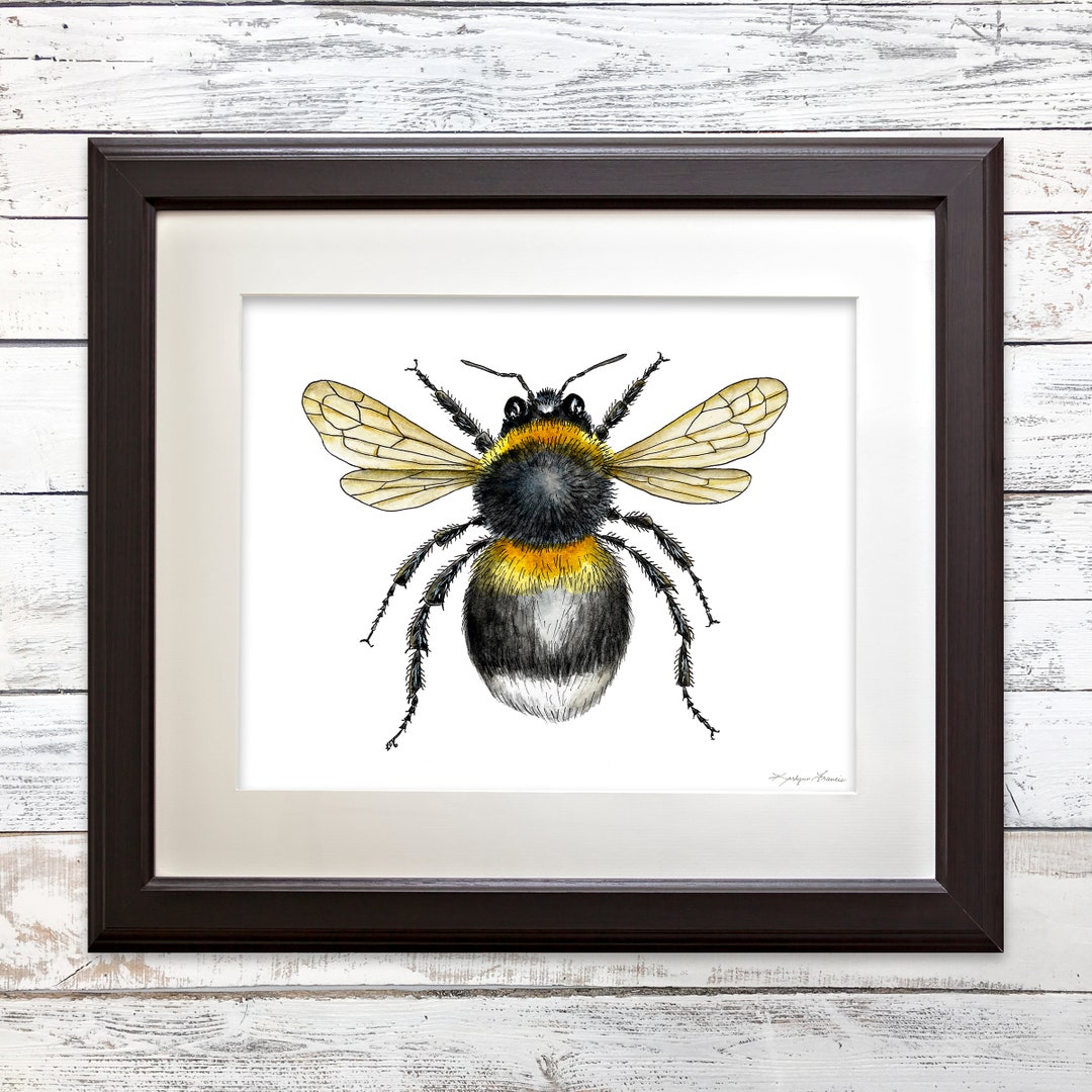 Bumblebee Art Print: Watercolor Insect Illustration, Complementary ...