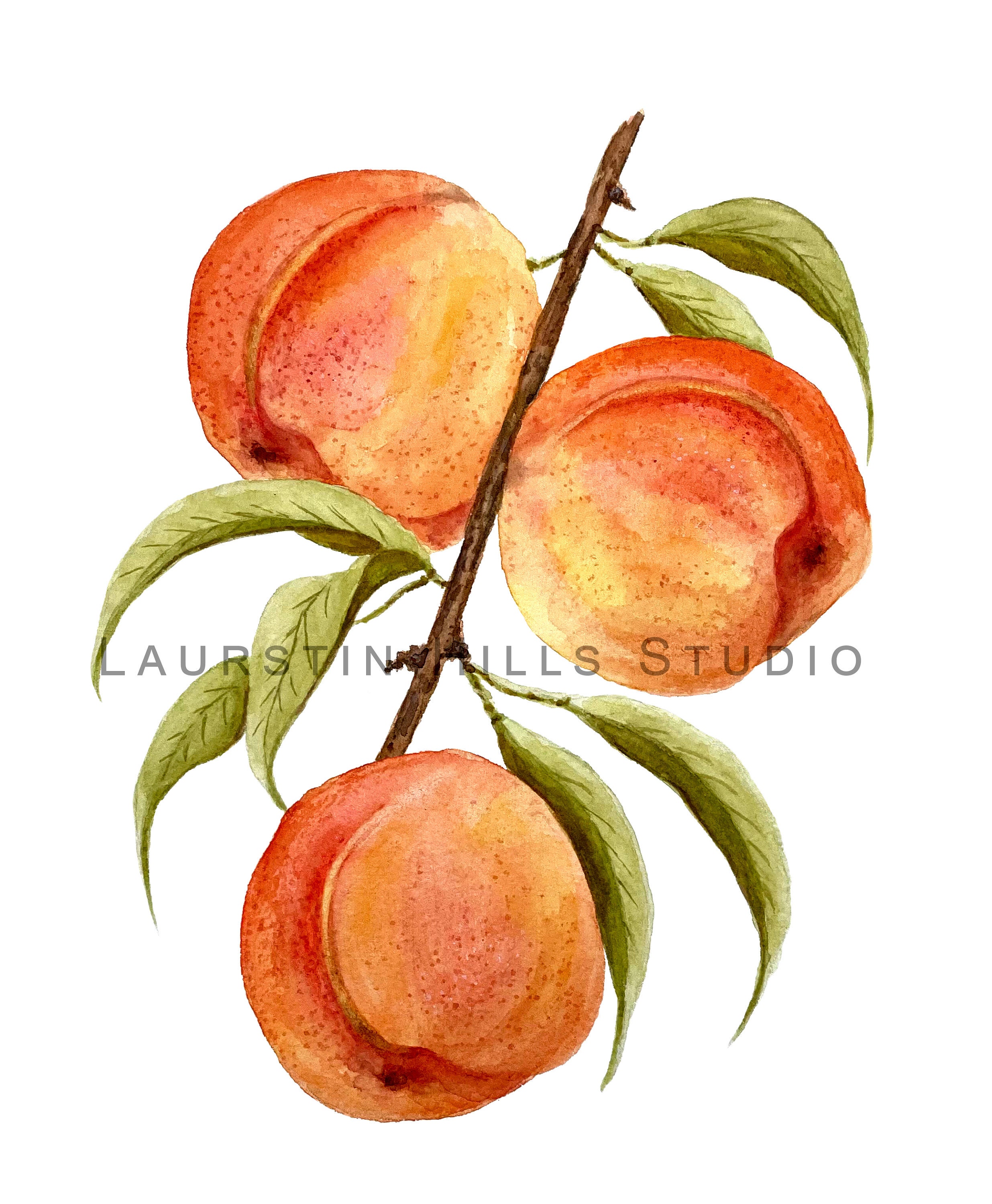 3 Peaches on Branch Watercolor Art Print Set of 3 Prints - Etsy UK