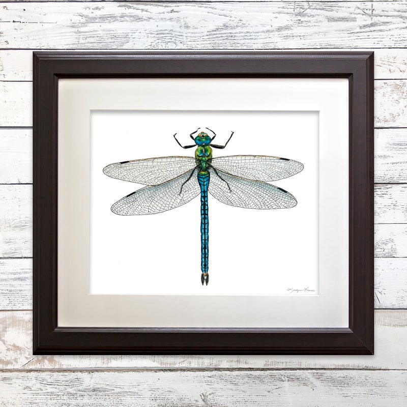 Dragonfly Art Print - Etsy