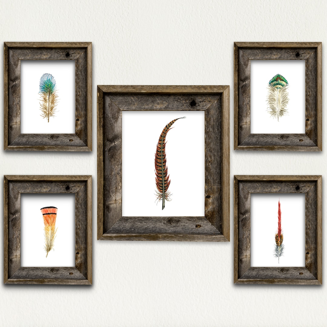 Pheasant Feather Art Prints: Watercolor Feather Decor, Fishing Hunting ...
