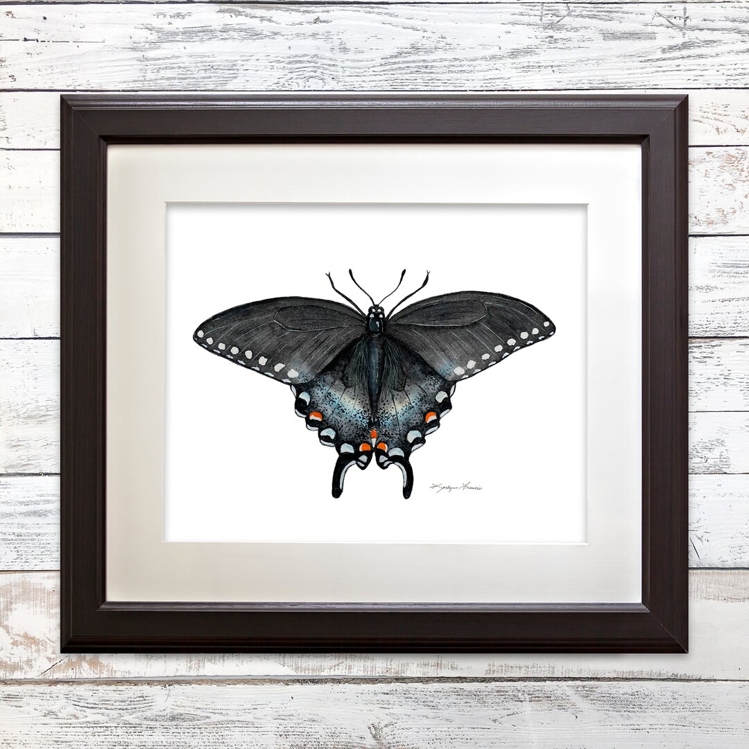 Swallowtail Butterfly Art Print, Complementary Prints, Black Insect ...