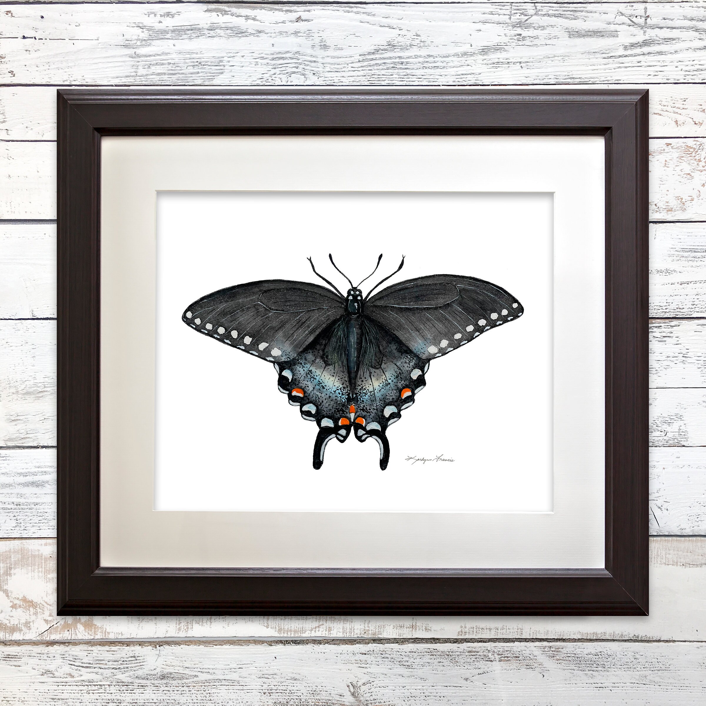 Swallowtail Butterfly Art Print Complementary Prints Black - Etsy UK