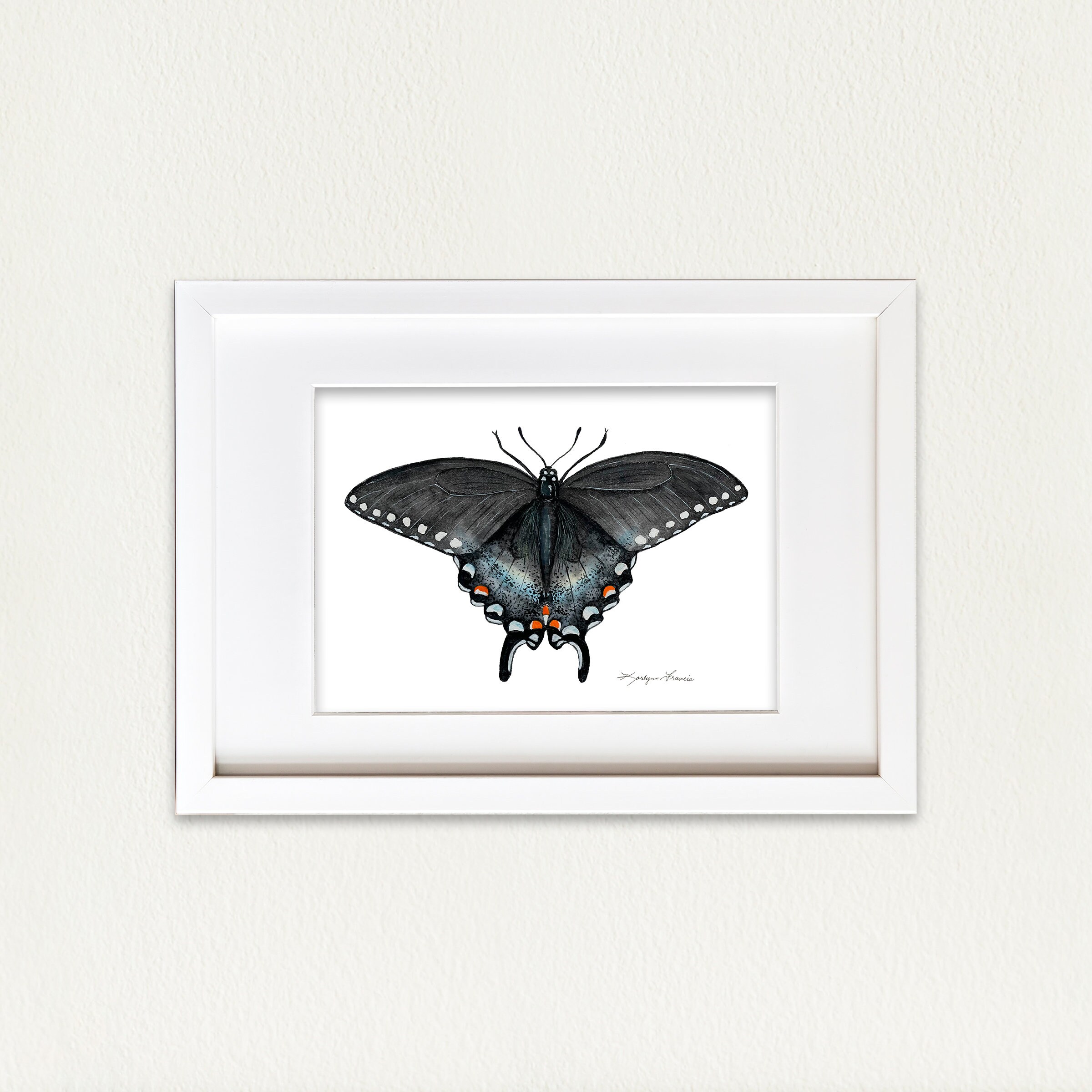 Swallowtail Butterfly Art Print Complementary Prints Black - Etsy UK