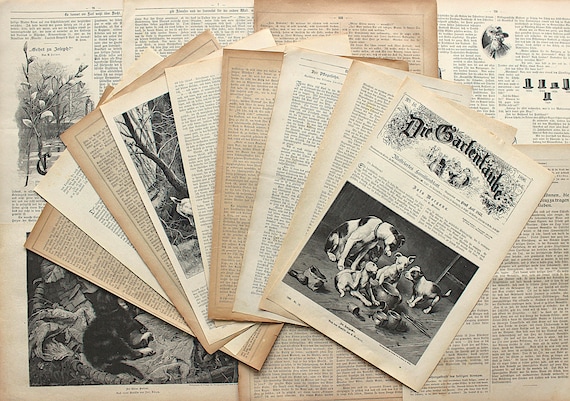 30 large vintage magazine pages from the 1890s Book pages | Etsy