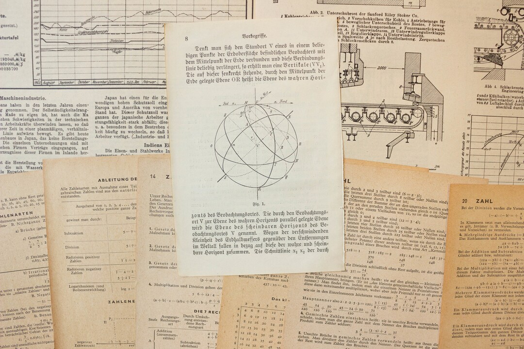 30 Vintage Science Pages Antique Natural Science Book Pages - Etsy