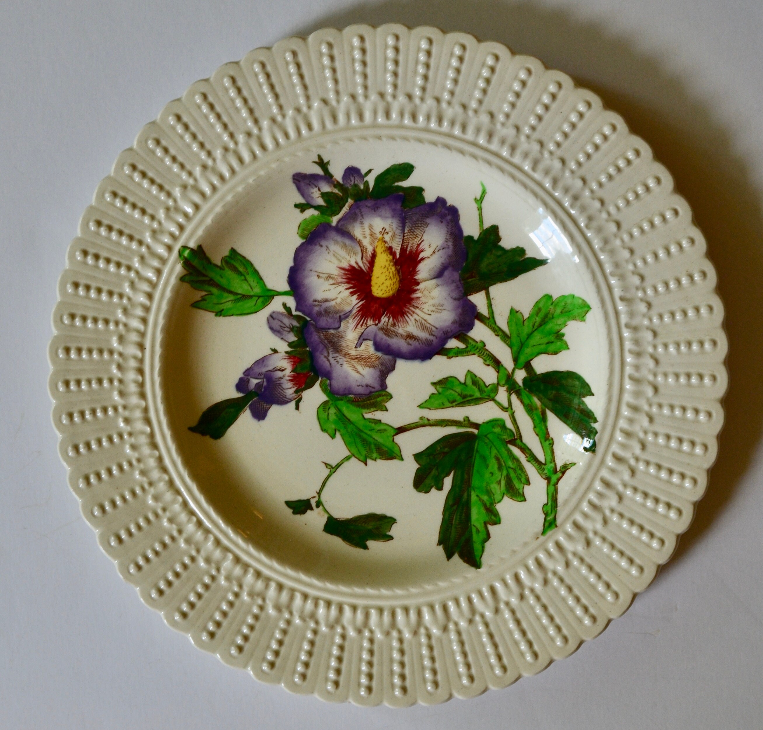 Royal Cauldon Ironstone Flower Series Hibiscus Dinner Plate Dining ...