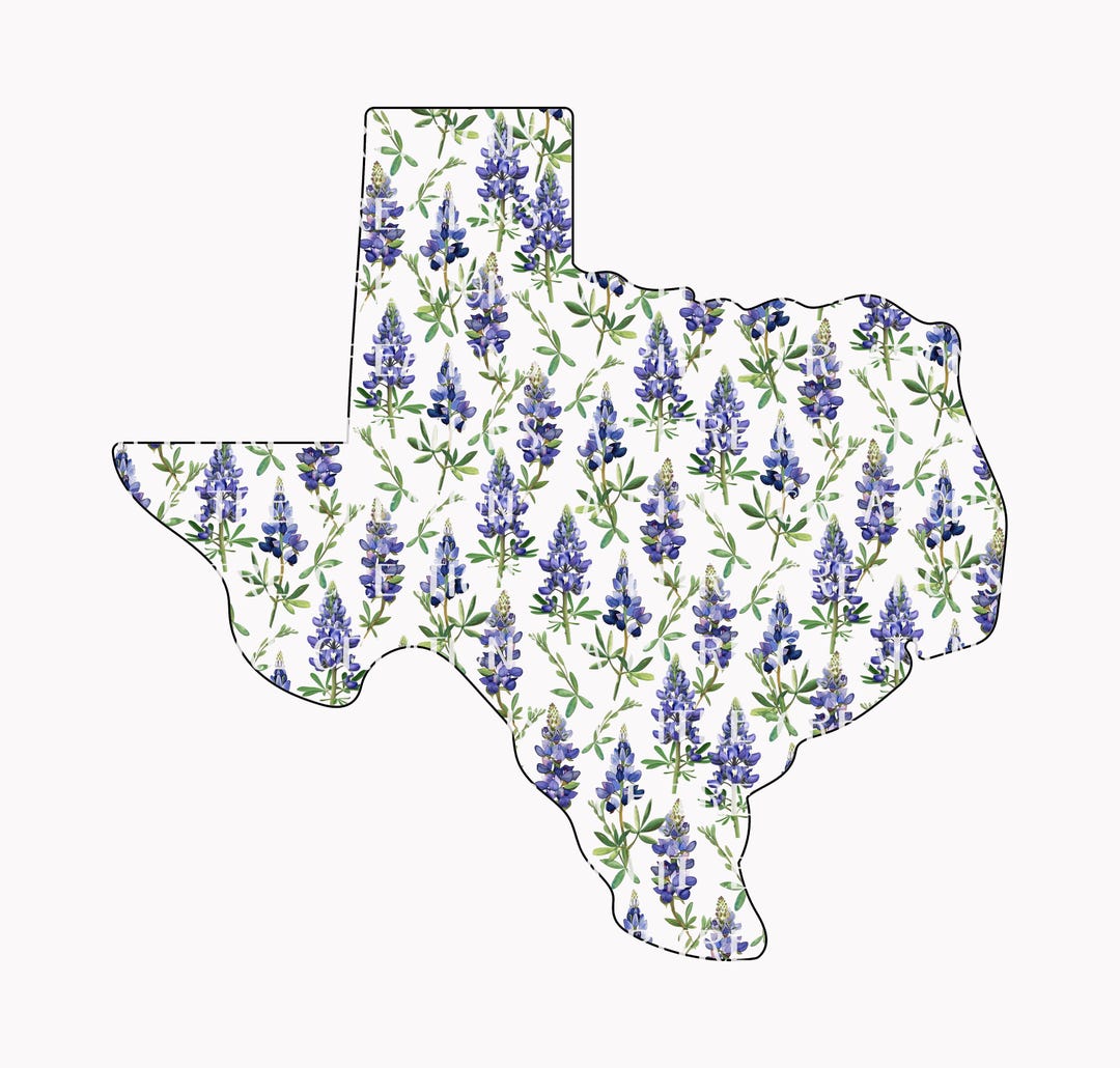 Texas PNG, Bluebonnet PNG, State PNG for Shirt, Texas Bluebonnet Flower ...