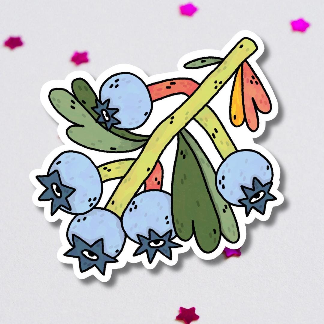 Blueberry Fruit Sticker | Weather Proof Decal - Etsy