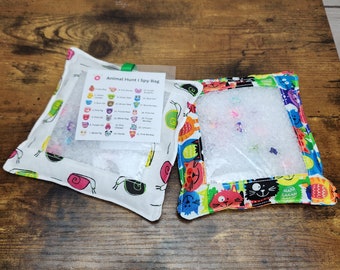 I Spy Bag, Eye Spy, Seek and Find, Discovery Bag, Fidget Toy, Travel ...