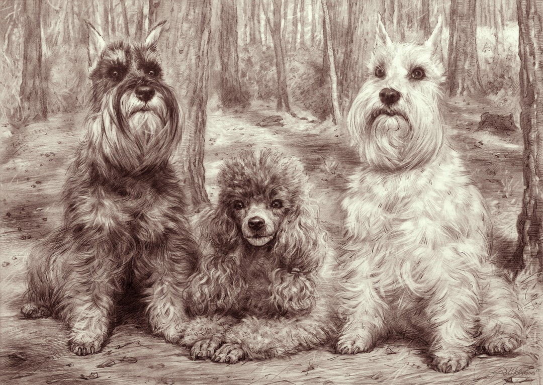 Graphic Pencil Drawing Pet Portrait to Order Custom Portrait Drawing ...