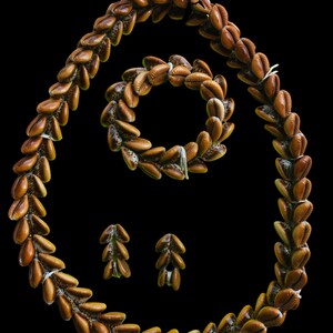 Micronesian Jewelry Set - Ebon Cypraea Shell Marshallese Handmade ...