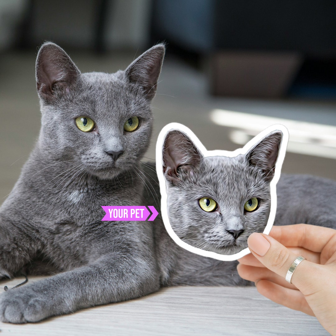 Cat Stickers, Custom Cat Gift, Cat Water Bottle Sticker, Cat Gift for ...