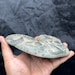 Very Old Archaic Bronze Taotie Mask Late Shang to Western Zhou Dynasty ...