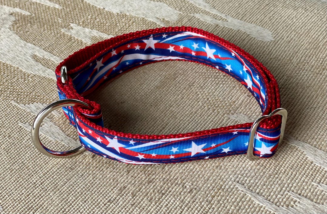 Novel's Full Circle Dog Collar - Etsy