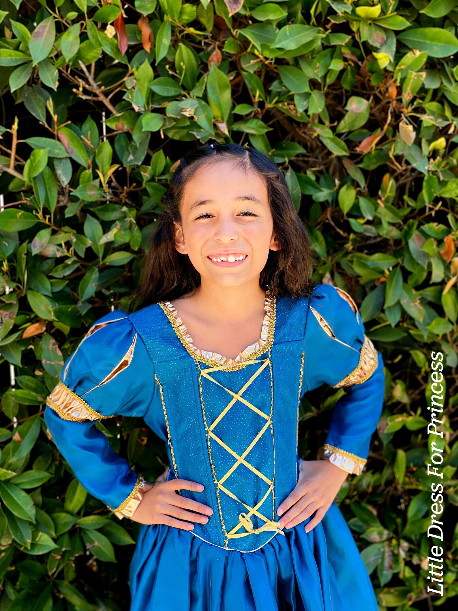 Brave Princess Dress/ Inspired Disney Princess Brave/ball Gown Style ...